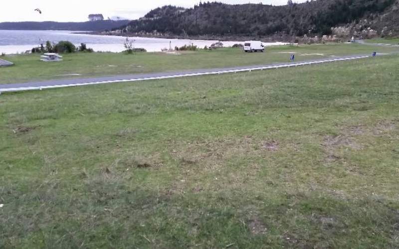 Taharoa Domain Campground (Pine Beach) | Freedom/Basic Camp | New Zealand